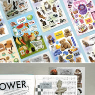 Just Object Sticker Pack | 6sheets – dubudumo